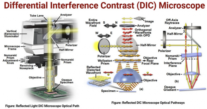 What is Differential Interference Contrast (DIC) Microscope?